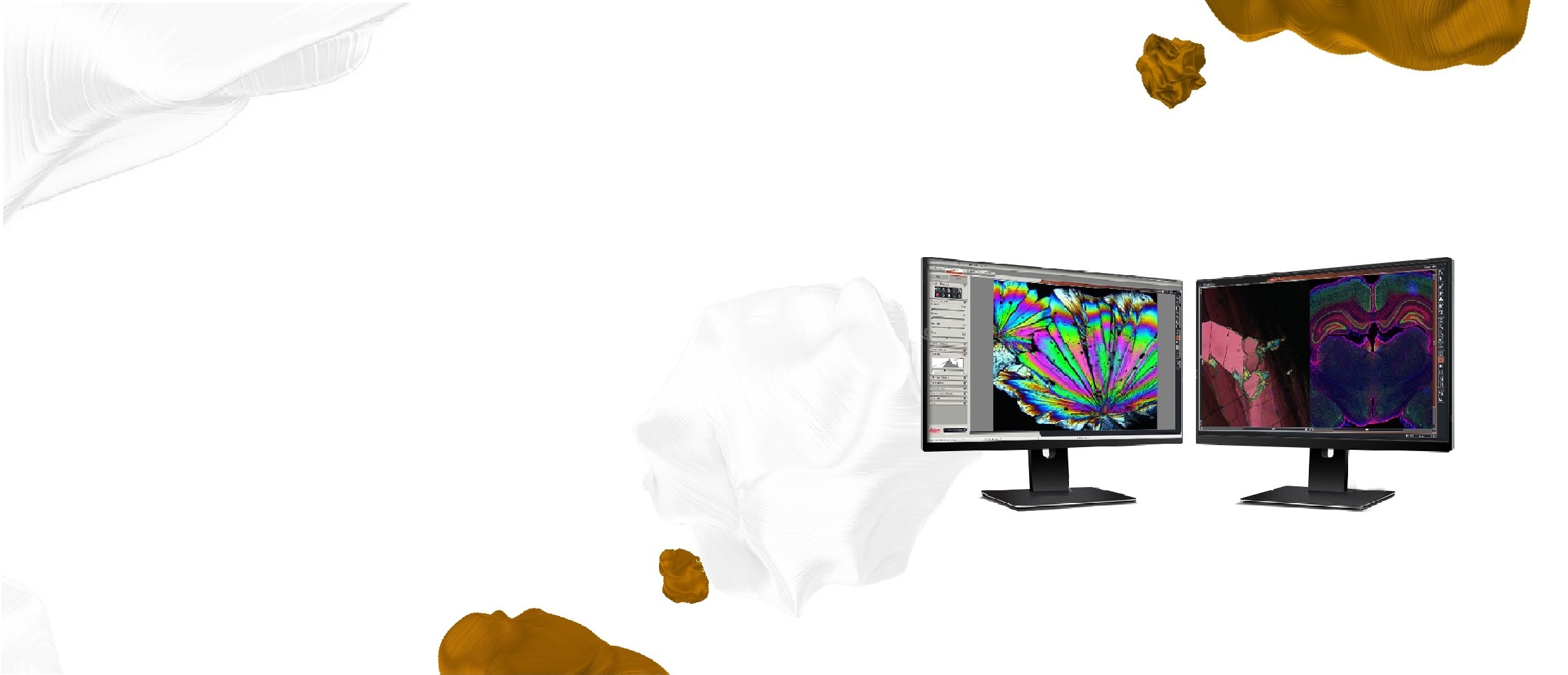 Webinar - Parámetros en el Software LAS para Técnicas: Fluorescencia y ...