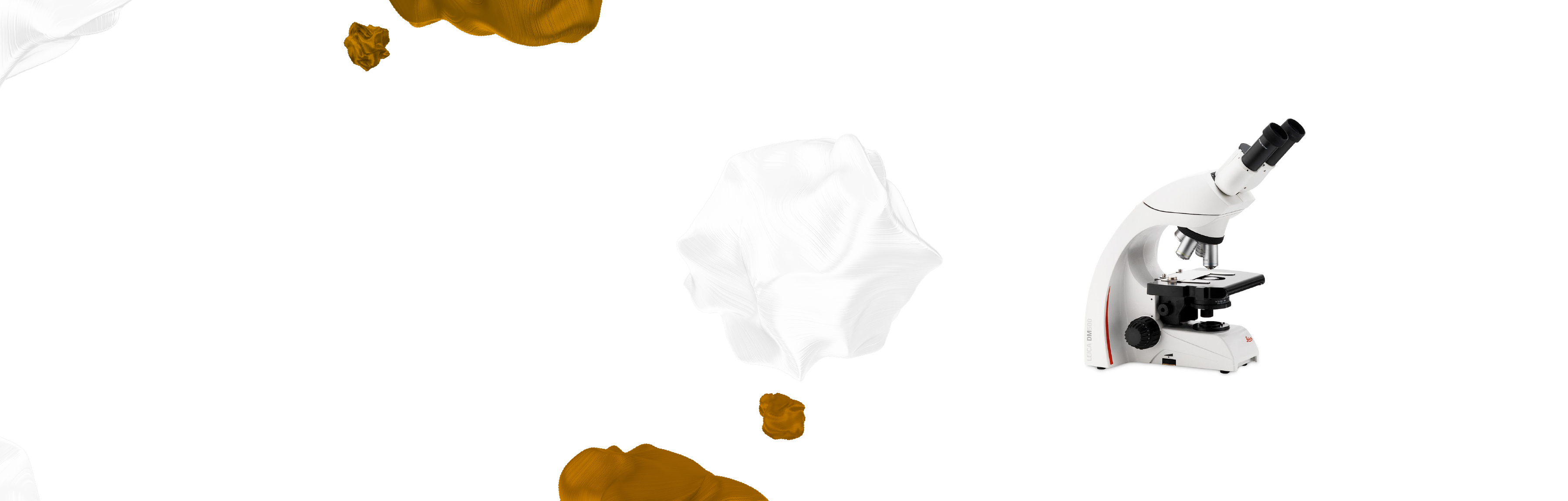 Webinar - Ajustes básicos de Microscopios | BIO-OPTIC S.R.L.