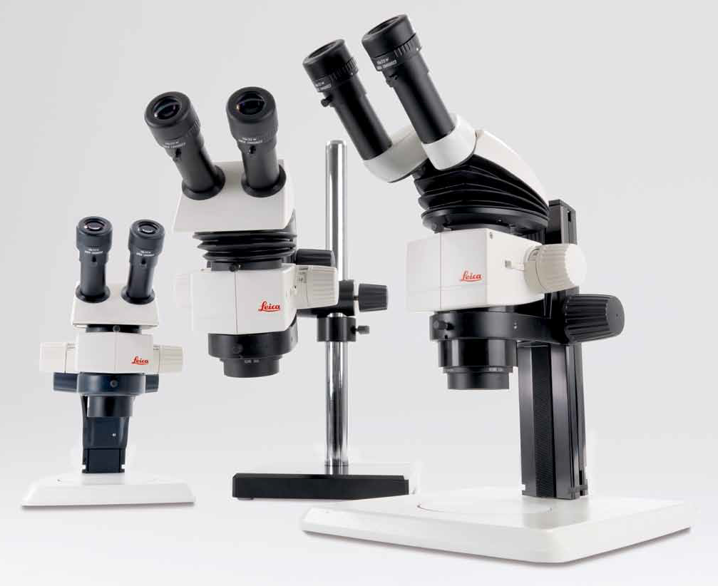 Microscopio Leica M50 - M60 - M80 | BIO-OPTIC S.R.L.